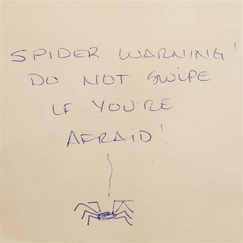 Spider Warning The Last Time I Posted A Photo Of A Spider Without A Warning I Got Some Angry