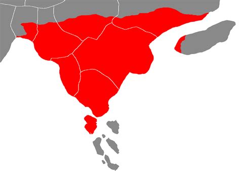 Tanisean Taron Ratera Project Wiki Fandom