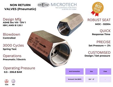 1 2 Inch Ss Non Return Valve Pneumatic At ₹ 350 Piece In Mumbai Id 2855647607330