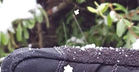 Epic Snowflake Album On Imgur