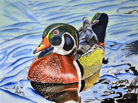 Wood Duck Painting At Explore Collection Of Wood