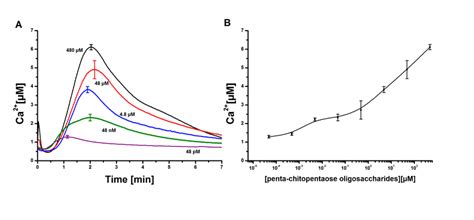 Measurement And Quantification Of Cytosolic Ca 2 Concentrations In