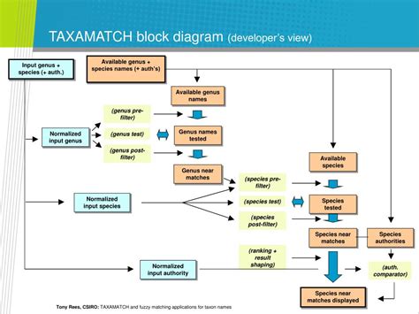 Ppt Taxamatch A Fuzzy” Matching Algorithm For Taxon Names And Potential Applications In