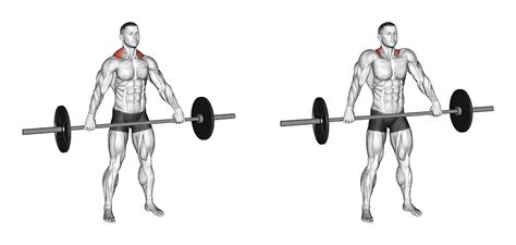 Shrug Barre Musclez Vos Trapèzes Supérieurs Facilement