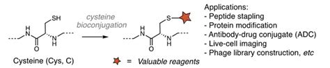 Cys Conjugation Boc Sciences