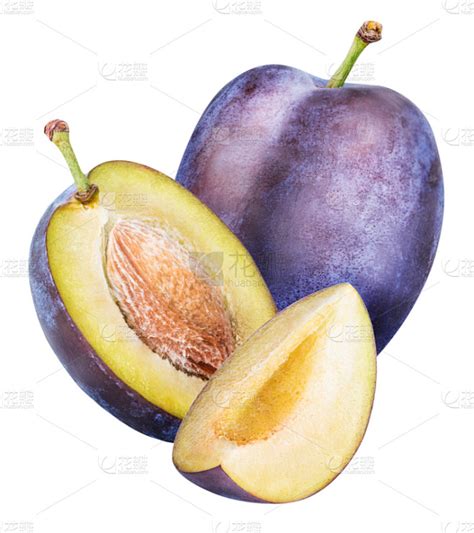 叶子熟的李子分离着色白色背景垂直画幅素食无人特写甜点心