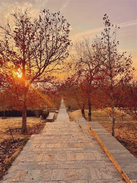 Autumn In Bagh E Babur Kabul 🇦🇫 R Pashtun