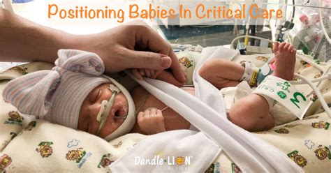 Positioning Babies In Critical Care Dandle•lion Medical