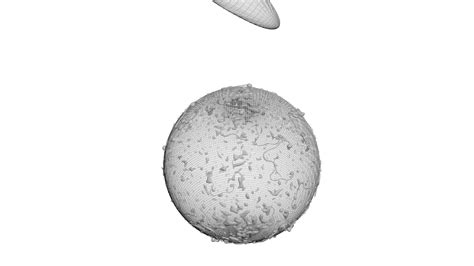 Human Egg With Sperm Cell 3d Model Cgtrader