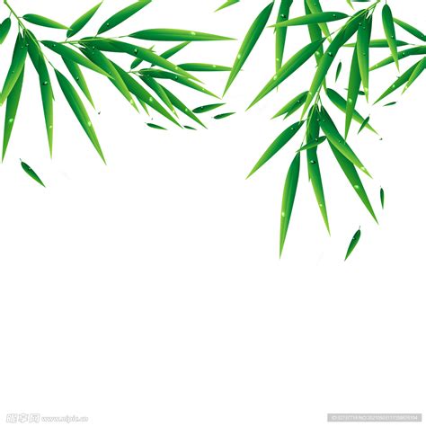 夏季植物装饰竹叶元素设计图花草生物世界设计图库昵图网