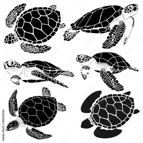 Graphic Sea Turtlevector Illustration Of Sea Turtlevector Of Turtle