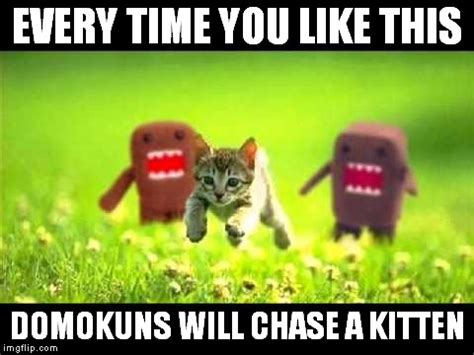 Domokun Chasing Kitty Imgflip
