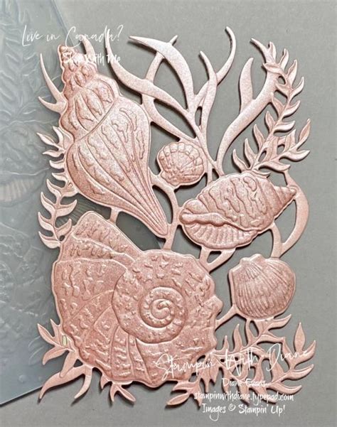 Sand And Sea Stampin Up Emboss Stampin With Diane Evans Shell Crafts Diy Stampin Up Stamping