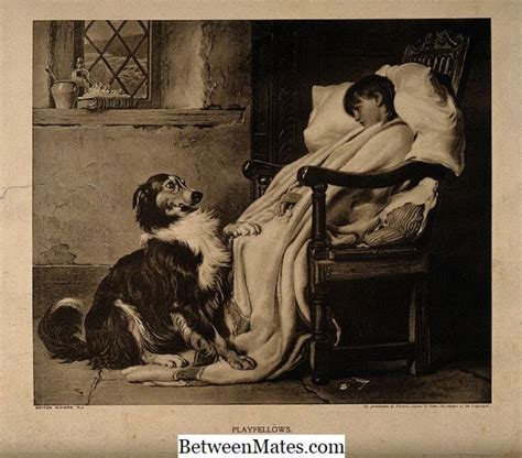 Sadakat Ve Güven Arasındaki Fark Bağlılık Ve Güven İlişki İnsanlar 2025