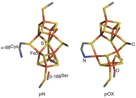 P Cluster Structures Shown Are The Structures Of The P Cluster