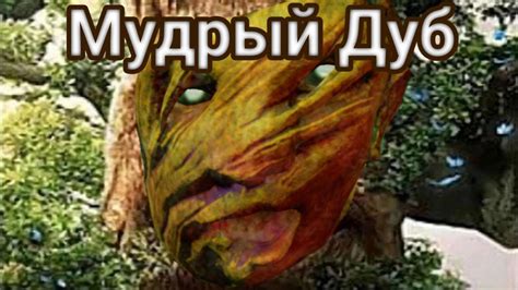 Мудрый дуб Youtube