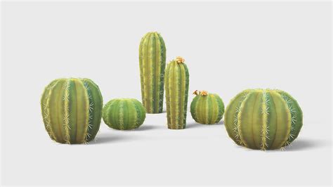Barrel Cactus Flippednormals