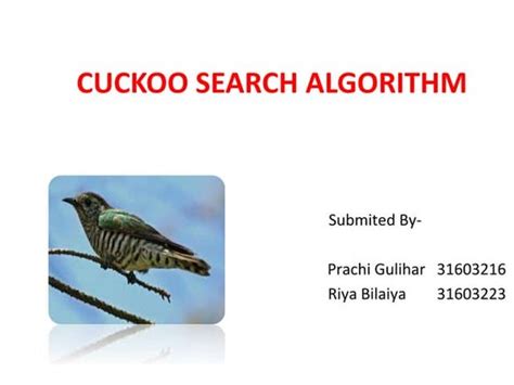 Cuckoo Search Algorithm Csa Swarm Intelligence Pptx Birdwatching Hobbies And Interests