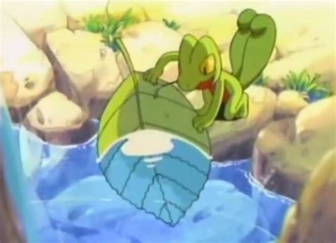 《精灵宝可梦》图鉴252：嘴叼树枝的御三家男神——木守宫森林