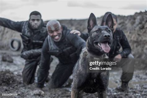 Military Train Photos And Premium High Res Pictures Getty Images