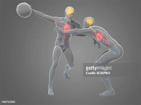 Translucent People High Res Illustrations Getty Images