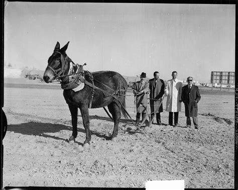 Before Hilton There Was Kitchell The Birth Of Doubletree Kitchell