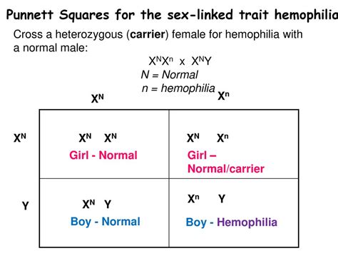 Oct 31 2018 You Need Clean Paper 2 Pencil Inheriting A Genetic Disorder Ws Warm Up What Oct 31 2018 You Need Clean Paper 2 Pencil Inheriting A Genetic Disorder Ws Warm Up What
