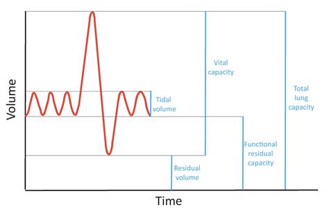 Obstructive Vs Restrictive Lung Disease Spirometry