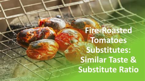 Stewed Tomatoes Substitute 5 Common Alternatives To Use