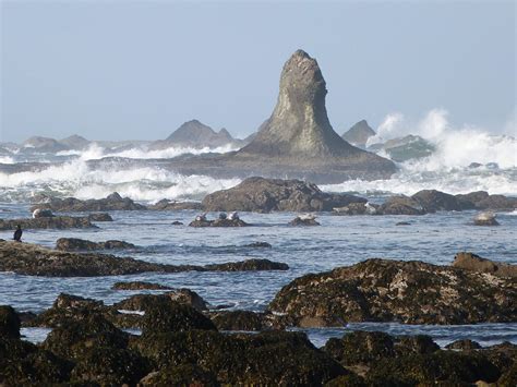 Trail Guide Ozette Triangle Loop In Olympic National Park