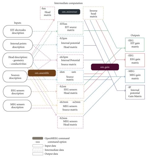Flowchart Describing The Openmeeg Procedure For Computing Eit Eeg Download Scientific Diagram