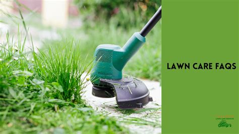 Lawn care faqs - Tayloe's Lawn Care Services, LLC