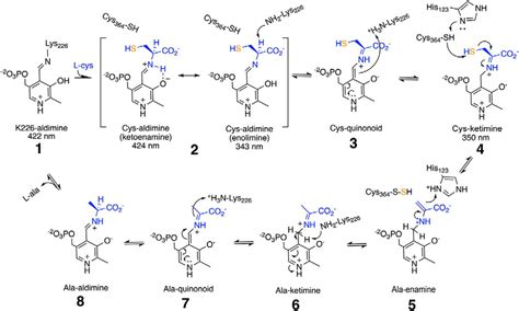 Direct Observation Of Intermediates In The Sufs Cysteine Desulfurase