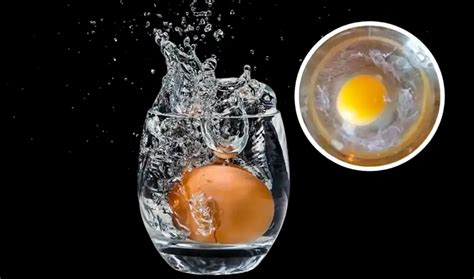 ¿qué Debes Hacer Con El Huevo Después De La Limpia Conoce Cómo Botarlo