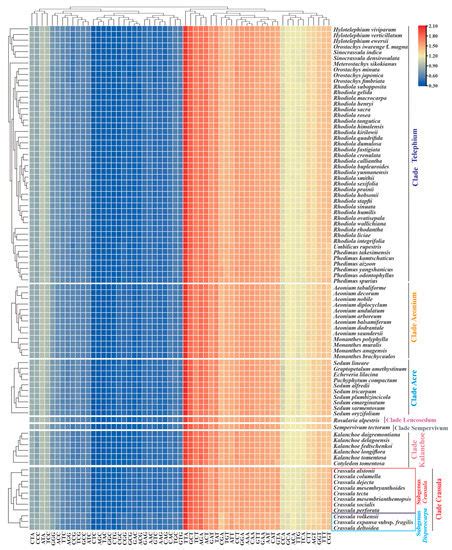 Ten Plastomes Of Crassula Crassulaceae And Phylogenetic Implications