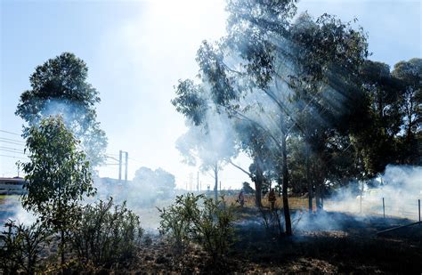 Grassy Plains Network Added A New Grassy Plains Network Grassy Plains Network Added A New Grassy Plains Network