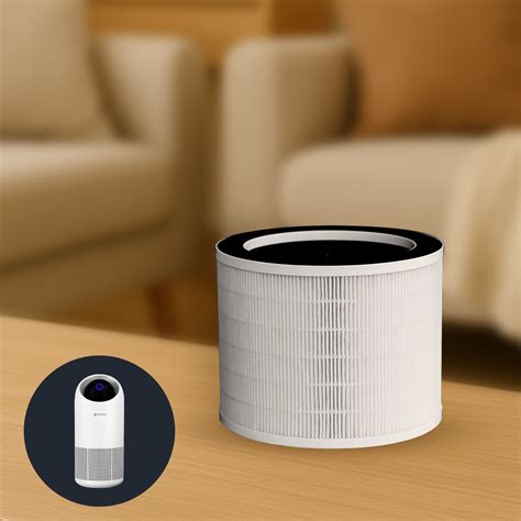 Filter Subscription For Sterra Moon