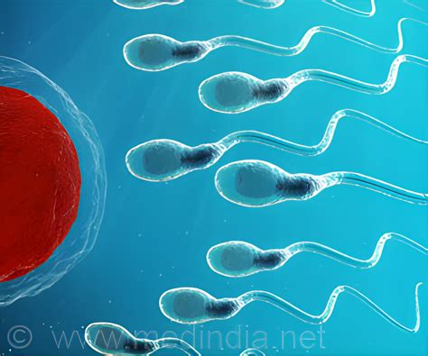 Reproductive Crisis Sperm Counts Decline Globally