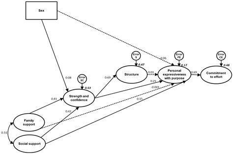 Sex Resilience And Psychological Well Being In Mexican University Students