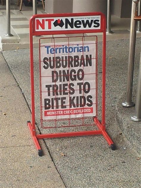 Just A Regular Newsday In Darwin Australia Imgur