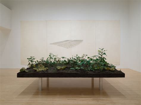 Moca And The Environment • Moca