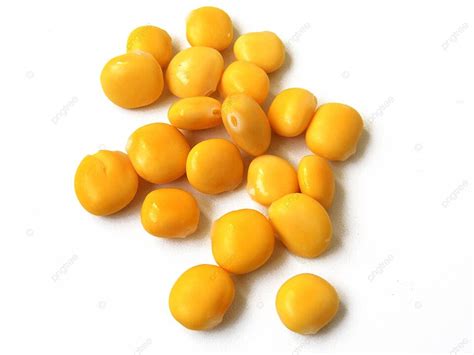 5 Foto Termi Gambar Dan Background Untuk Unduh Gratis Pngtree