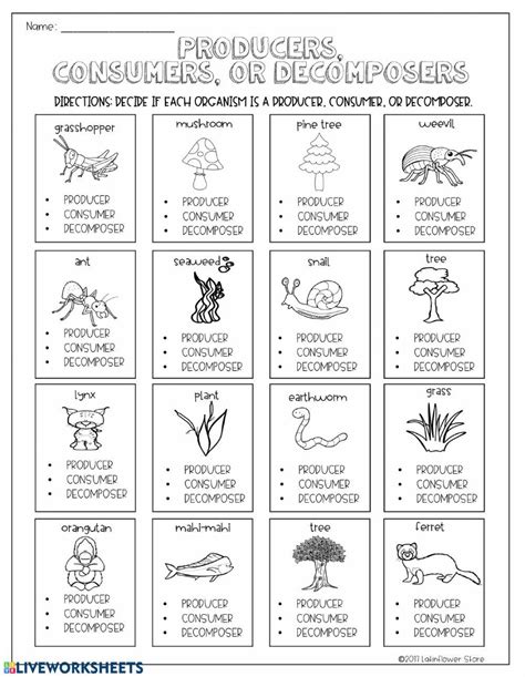 Consumer Producer Decomposer Worksheet Worksheets Library