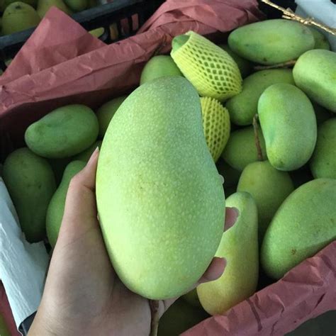 迎春嘗鮮節金煌芒來襲，大家手速提起來，先領券再下單優惠更多哦 每日頭條