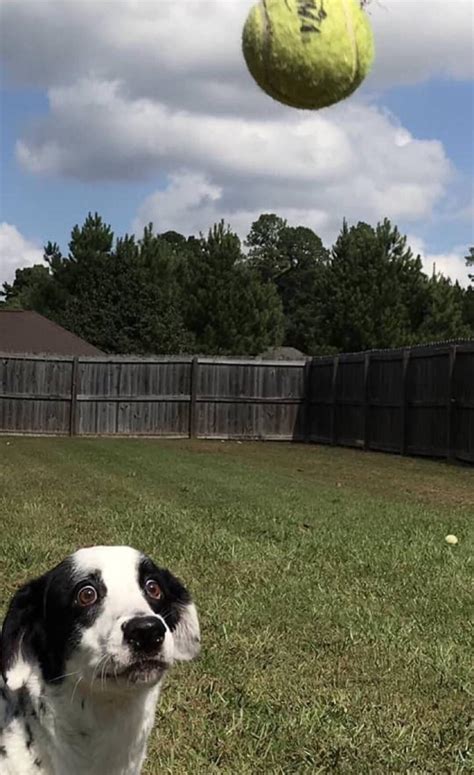 25 Best Baar Dau Images On Pholder True Stl Imaginary Tamriel And Morrowind