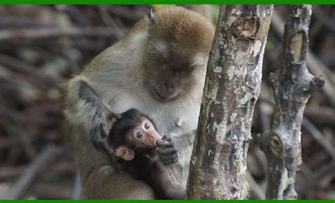 Evawgib Barcode Scanner Common Troubleshooting Barcode Technology And Barcode Software Related