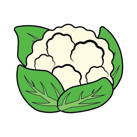 How To Draw Cauliflower Step By Step