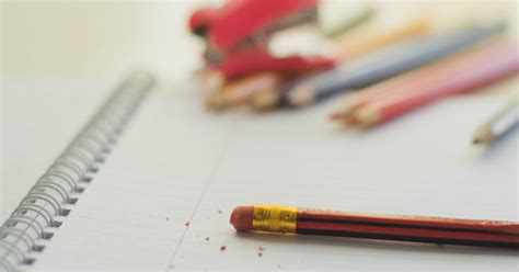 Do You Need An Essay Corrector