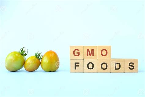 Gmo Or Genetically Modified Organisms Food And Crop Concept Typography In Blue Background Stock