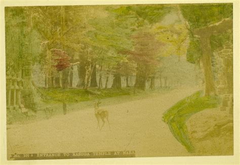 Collection Search Yokohama Museum Of Art